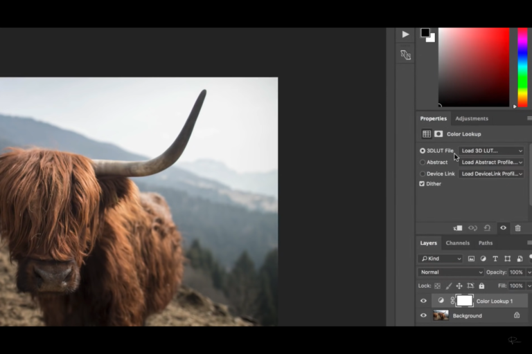 What Is A LUT In Photography: A Comprehensive Guide